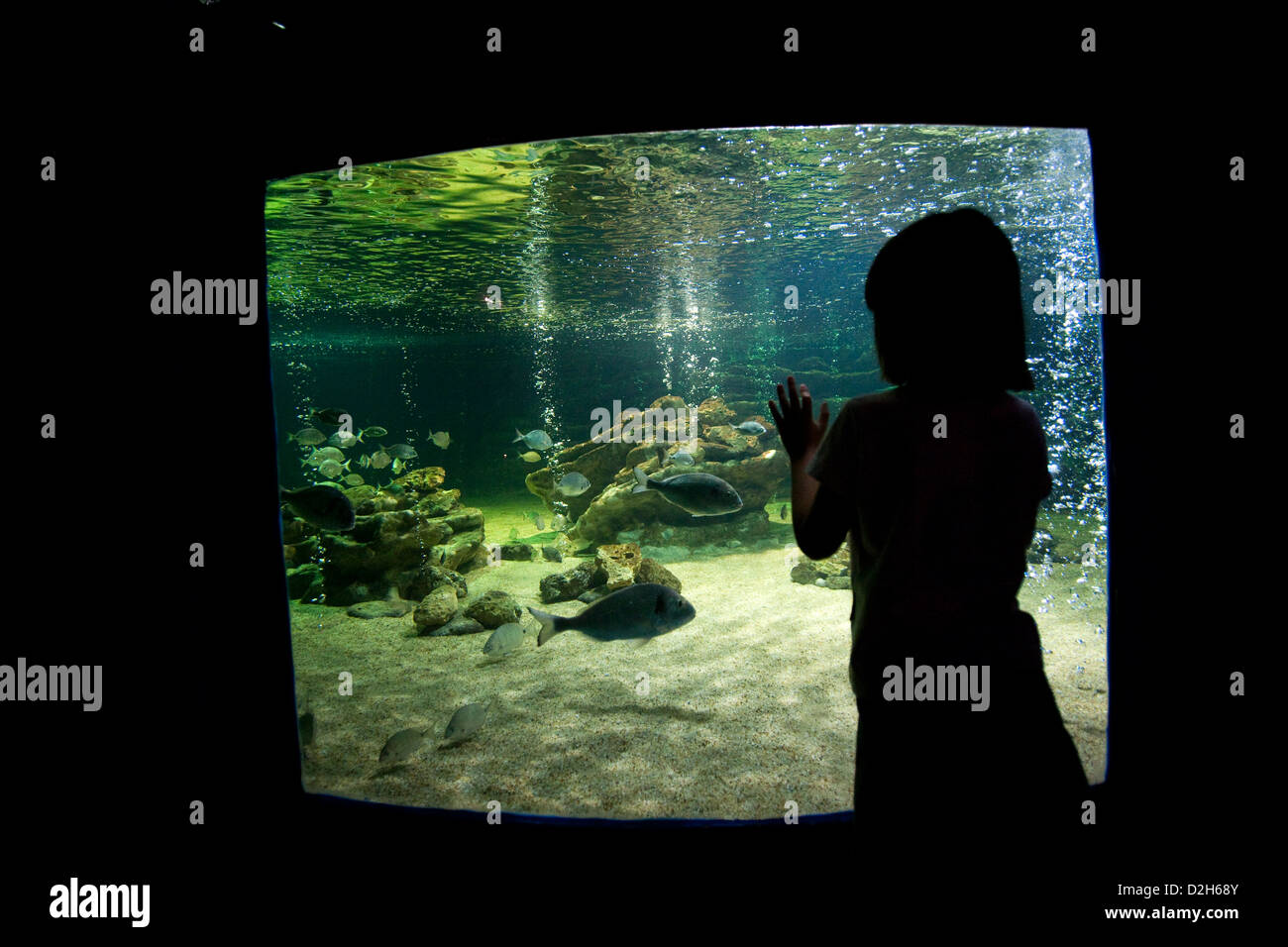 Swim rueckansicht hi-res stock photography and images - Alamy