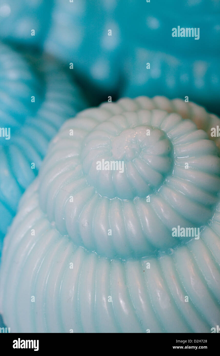 Shape of shell hi-res stock photography and images - Alamy