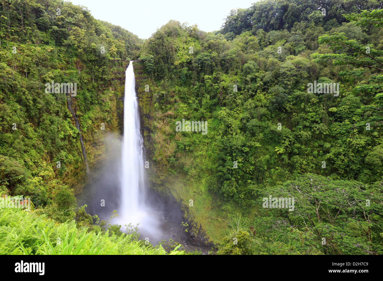 Famous Hawaiian waterfall in slow exposure and good detail at Akaka ...