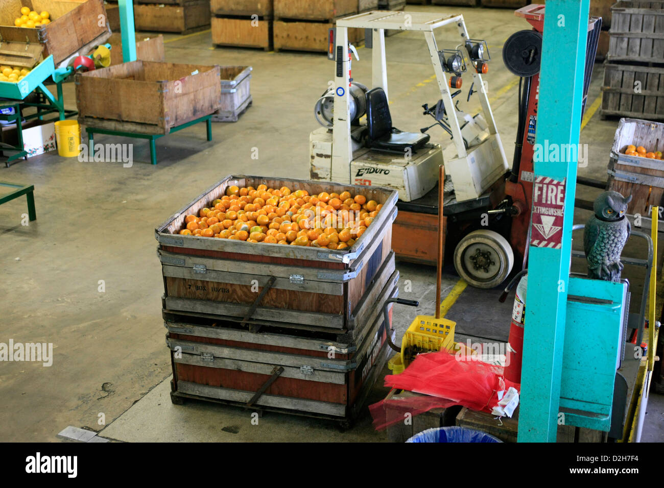 Oranges Factory High Resolution Stock Photography and Images - Alamy