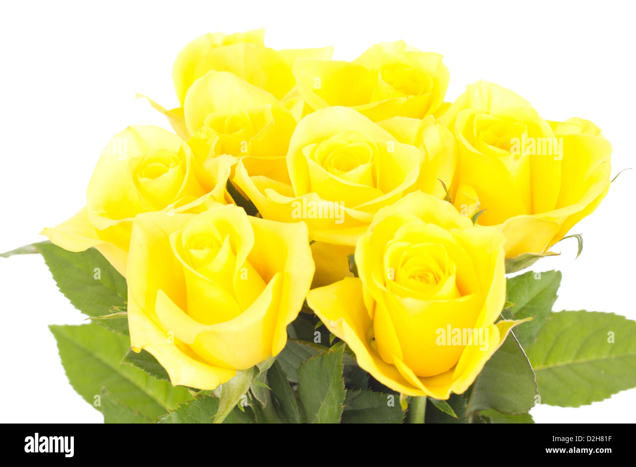 Bunch of roses Stock Photo - Alamy