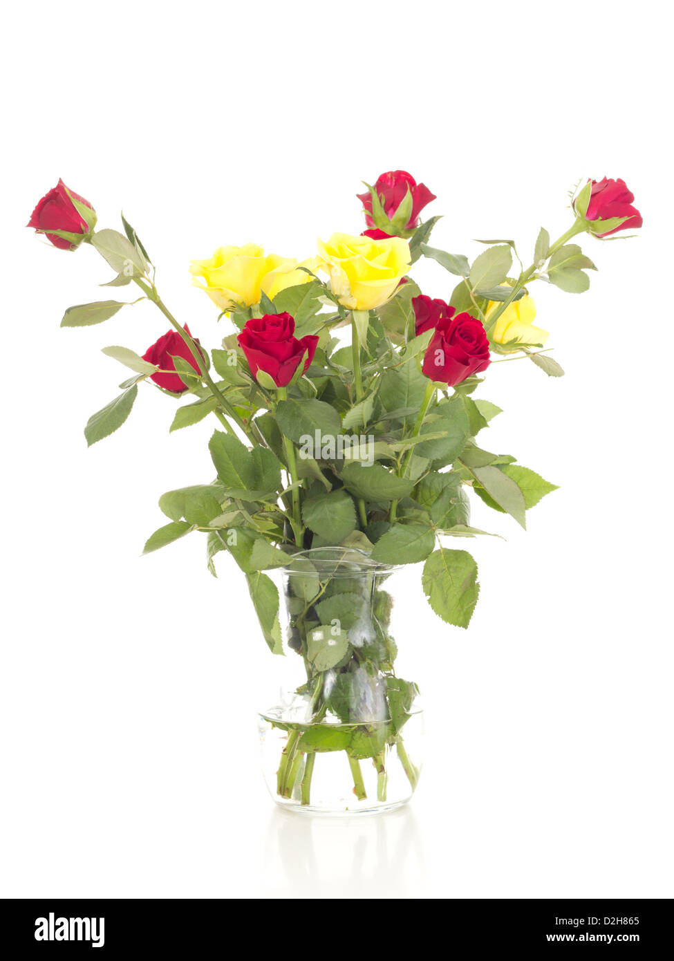 Funeral red rose flowers Cut Out Stock Images & Pictures - Alamy