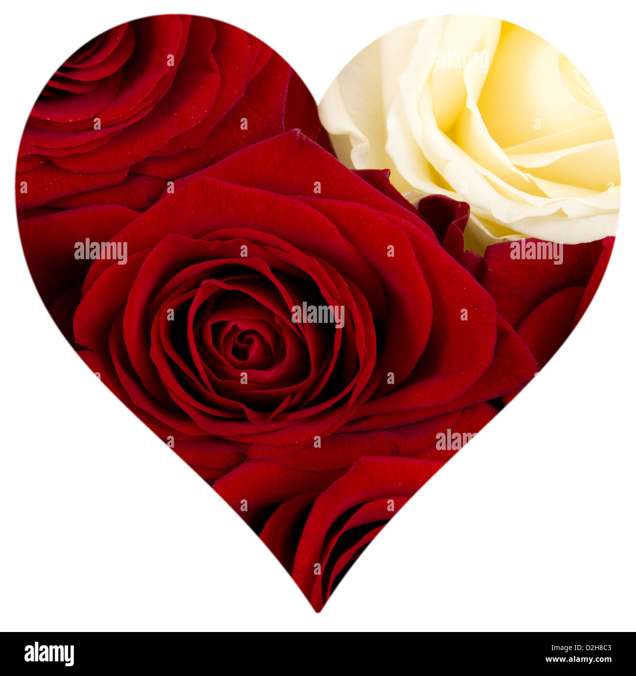 Heart of roses Stock Photo - Alamy