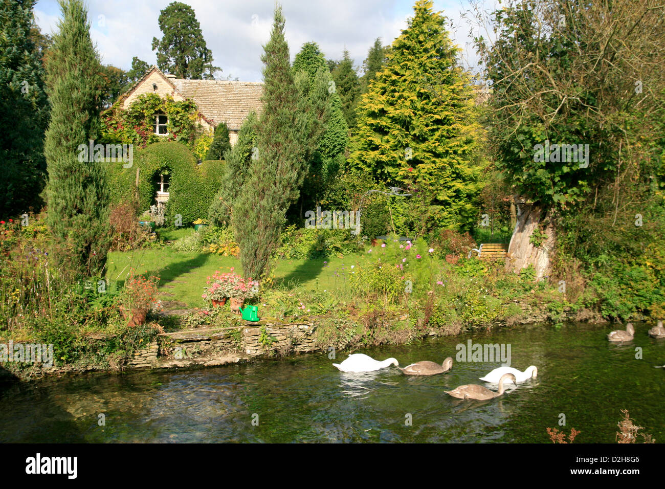 River Leach with swans and cottage Eastleach Turville.Gloucestershire ...