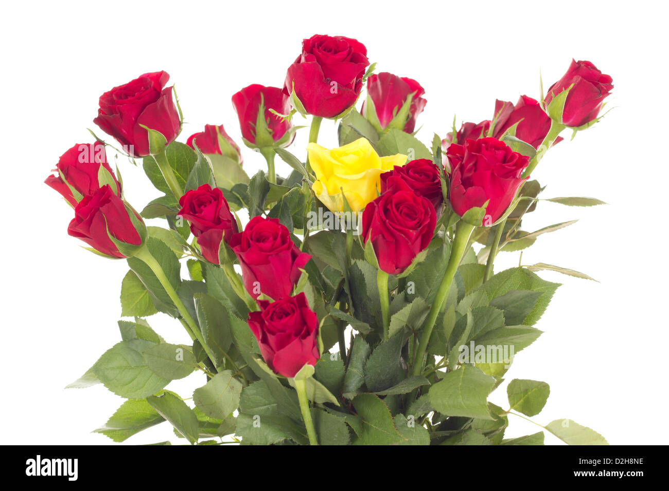 Bunch of roses Stock Photo - Alamy