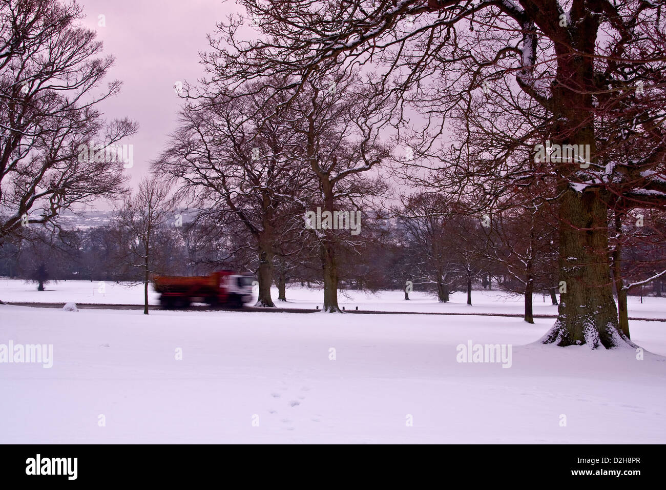 Camperdown park winter hi-res stock photography and images - Alamy