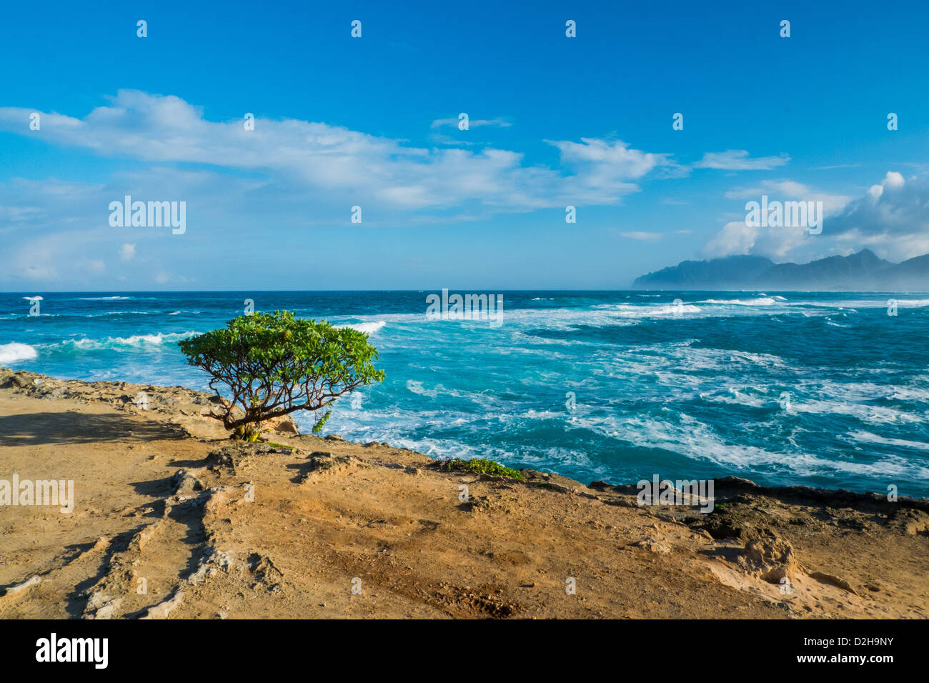 Coastal picture from Laie Point State Wayside Stock Photo - Alamy