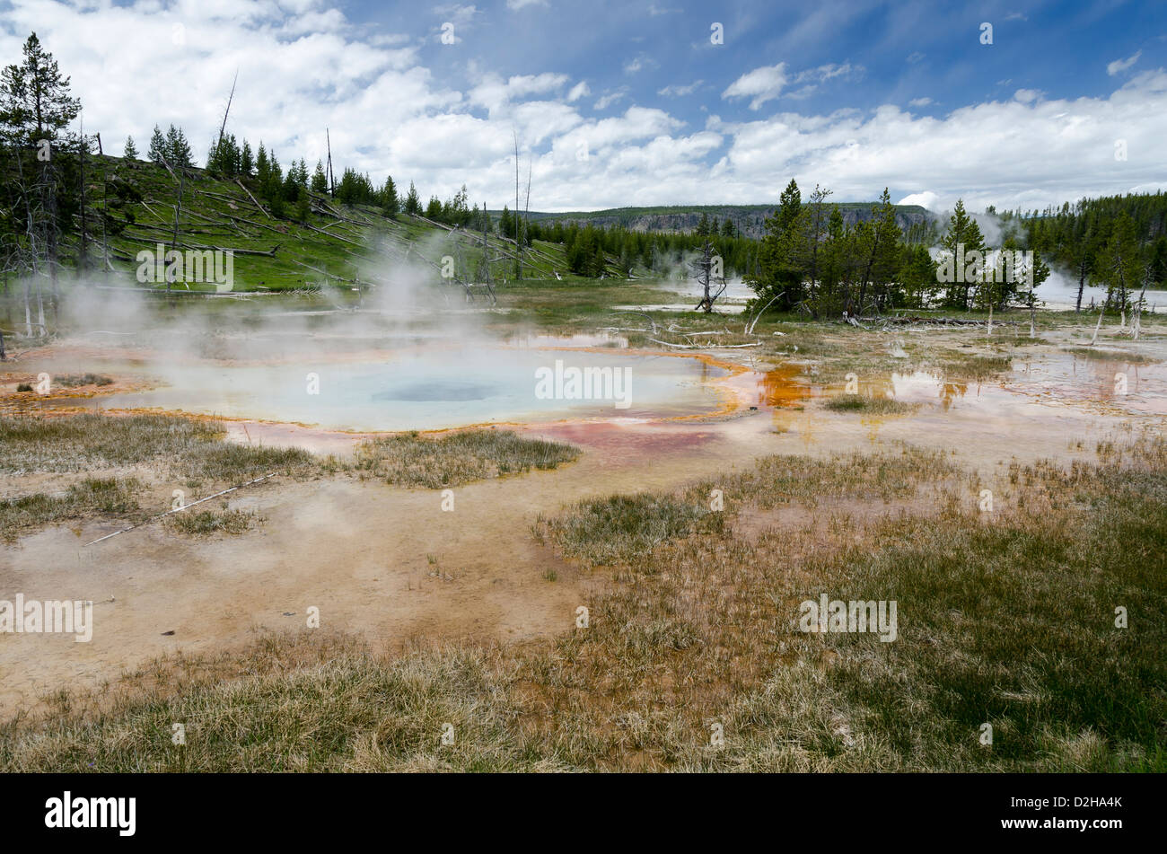 Geyser in Yellowstone National Park in Wyoming in the United States of ...