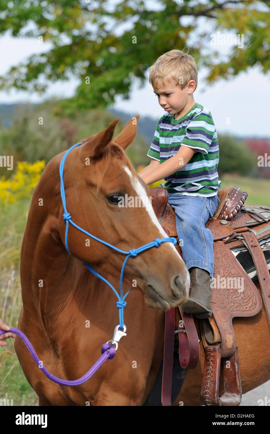 Young boy horseback riding on an adult saddle, a farm kid six years old ...