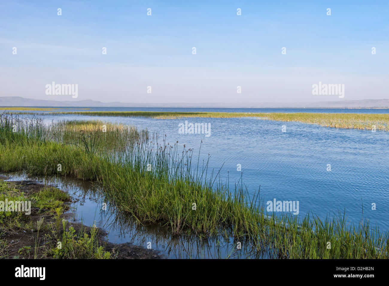 Awasa lake, Ethiopia Stock Photo - Alamy