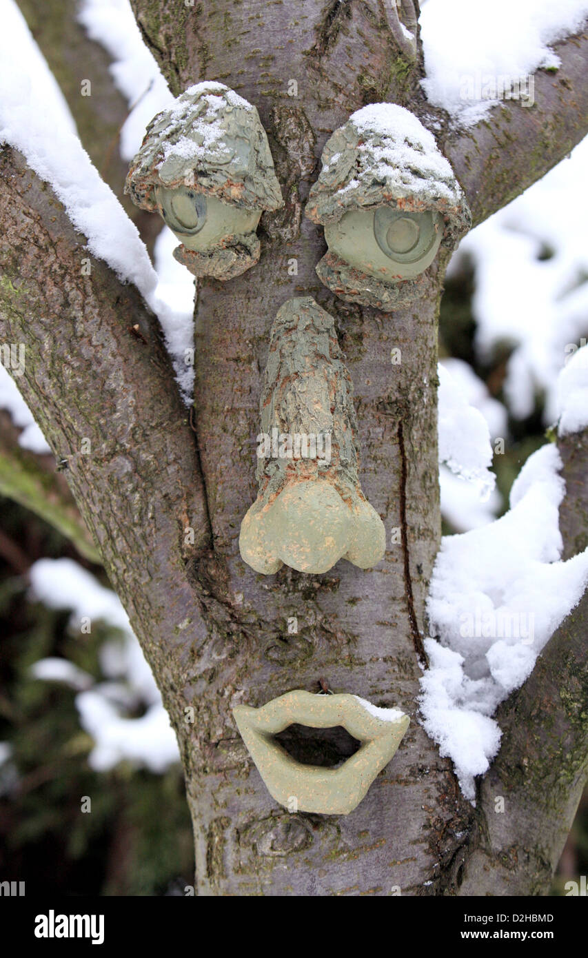 Funny face a tree trunk hi-res stock photography and images - Alamy