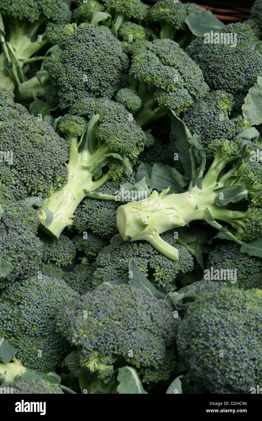 Glucoraphanin hi-res stock photography and images - Alamy