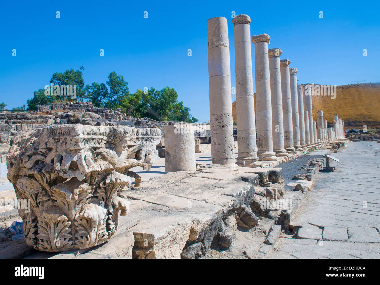 Ancient city of scythopolis hi-res stock photography and images - Alamy