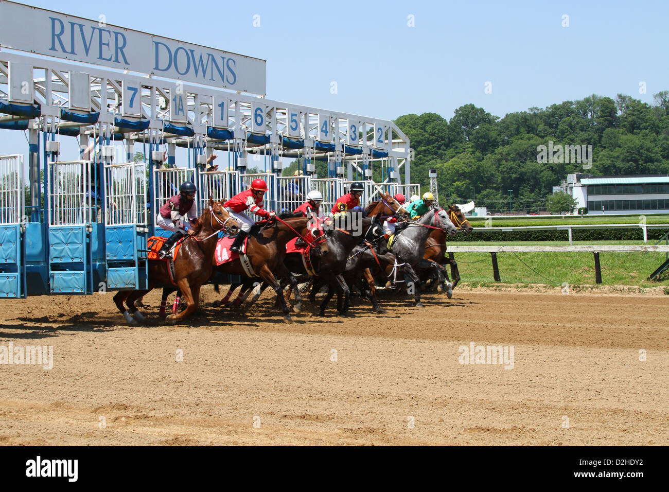 Race horses starting gate hi-res stock photography and images - Alamy