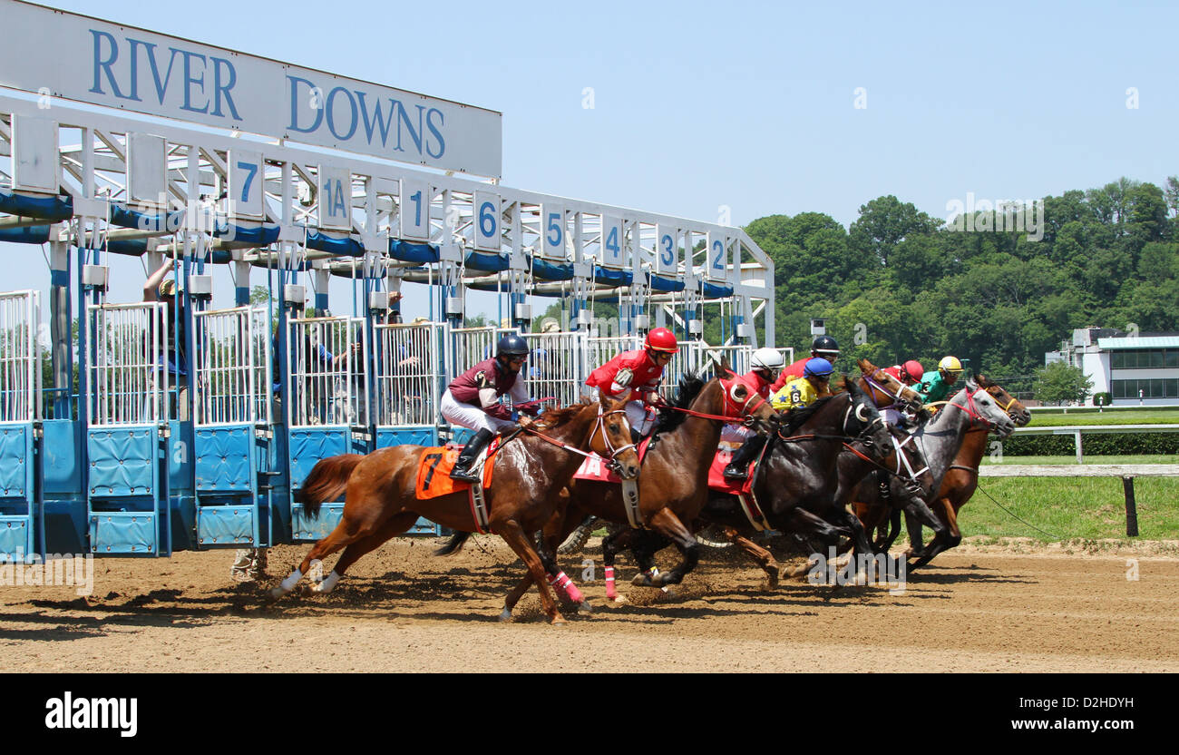 Race Horses Starting Gate High Resolution Stock Photography and Images ...