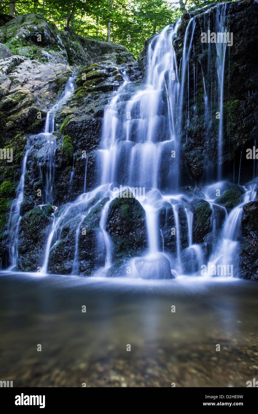 Patapsco Valley State Park Stock Photos & Patapsco Valley State Park ...