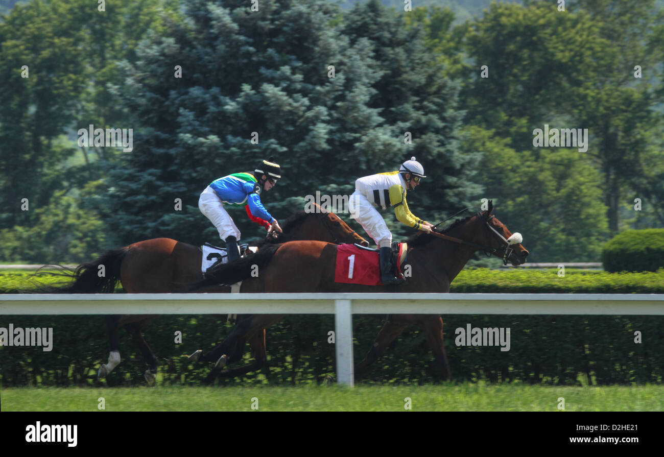 Jockey on a horse racing on race track hi-res stock photography and ...