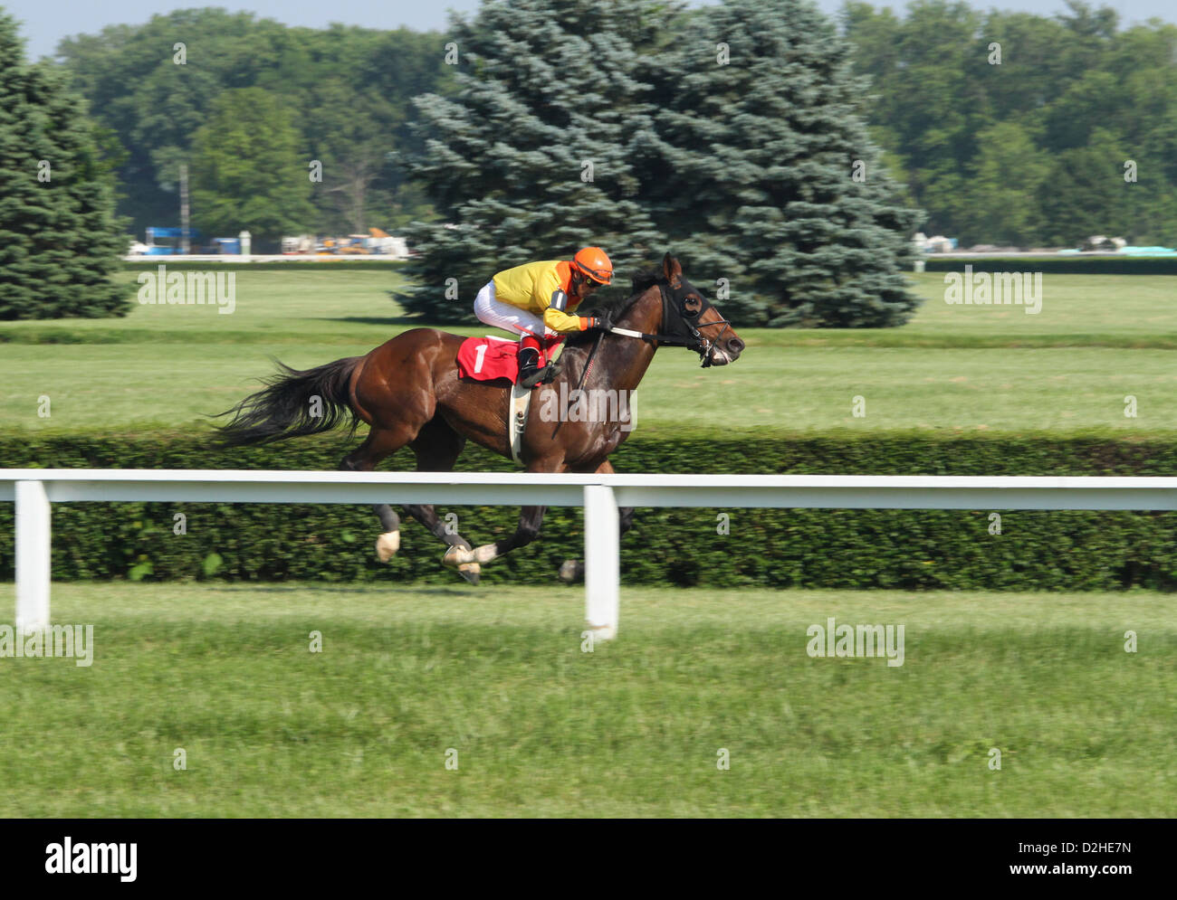 American Horse Racing Stock Photos & American Horse Racing Stock Images ...