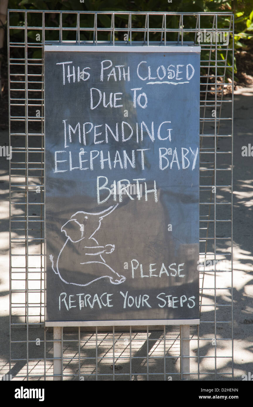 Imminent birth hi-res stock photography and images - Alamy