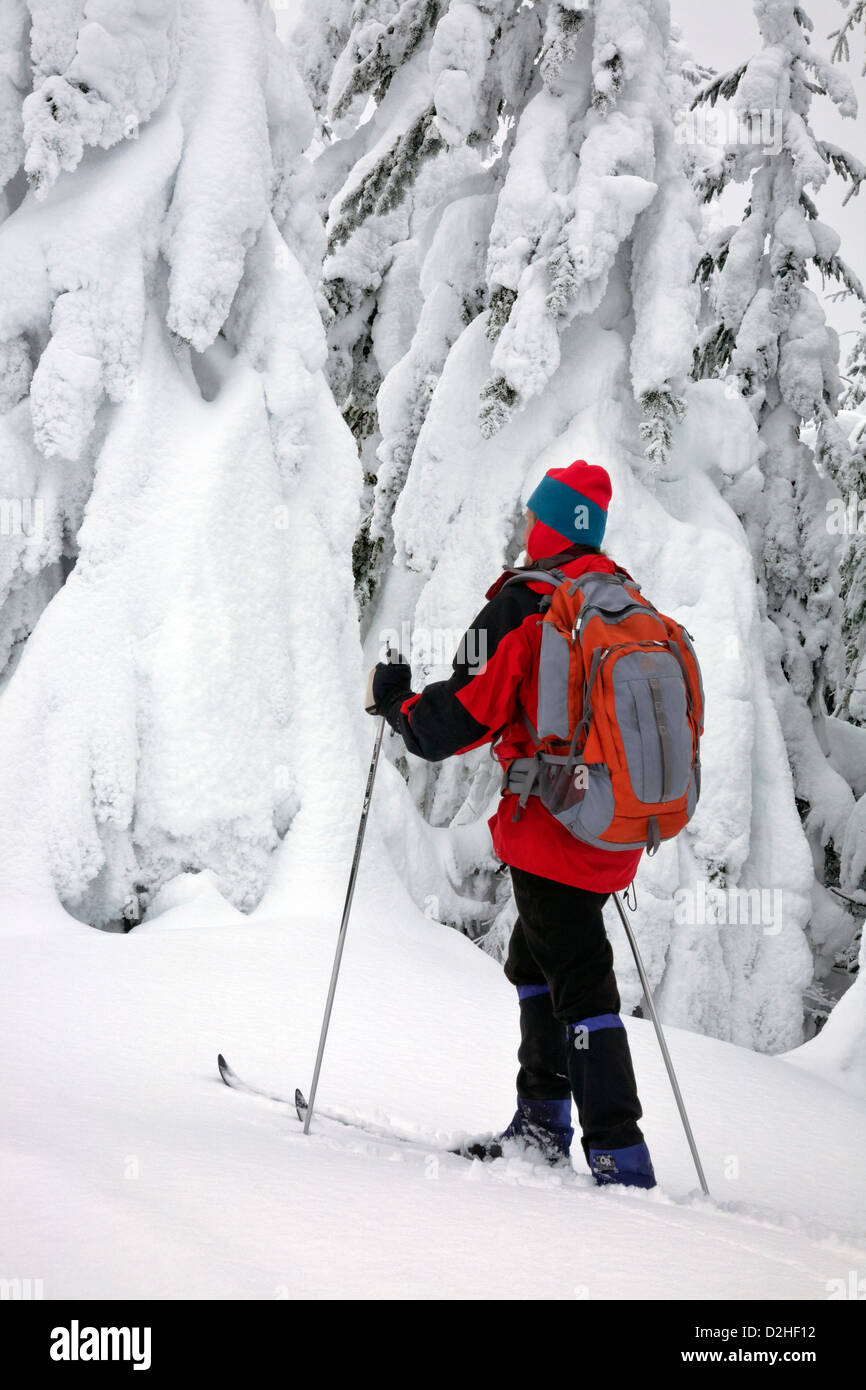 Snoqualmie pass cross country ski hi-res stock photography and images ...