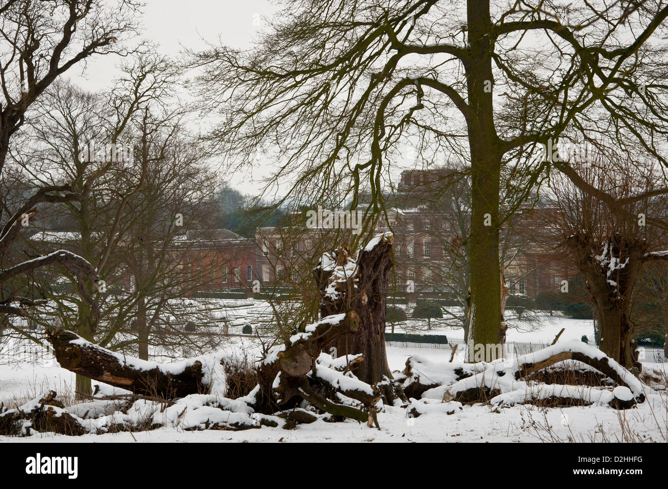 Fallen tree log pile habitat Stock Photo - Alamy
