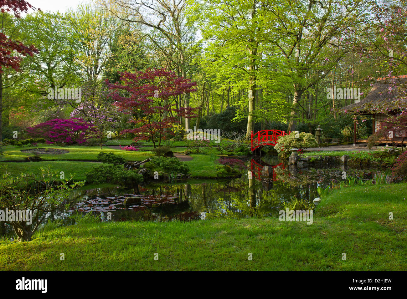 Traditional japanese garden in hague hi-res stock photography and ...