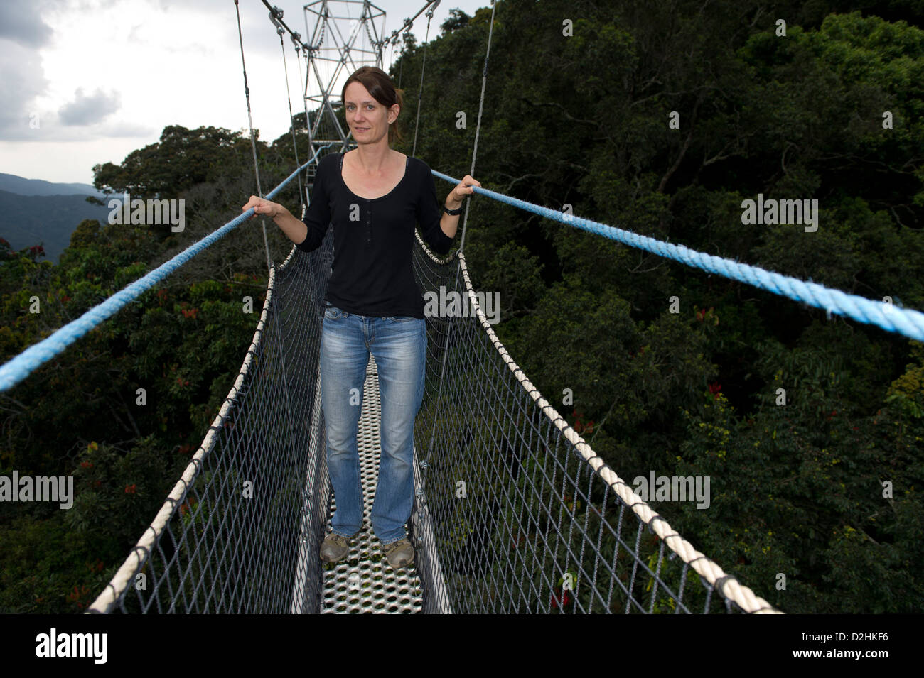 Canopy walk rwanda hi-res stock photography and images - Alamy