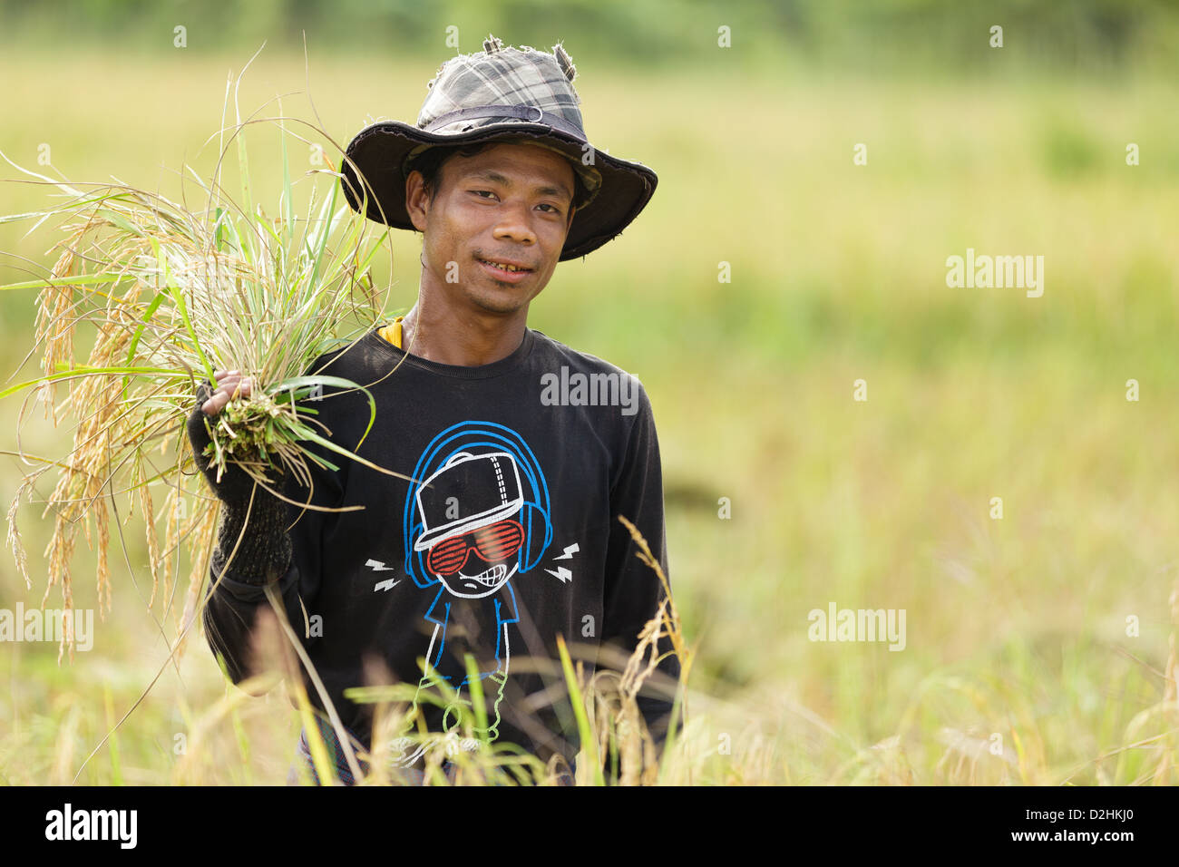 Man Harvesting Rice High Resolution Stock Photography and Images - Alamy