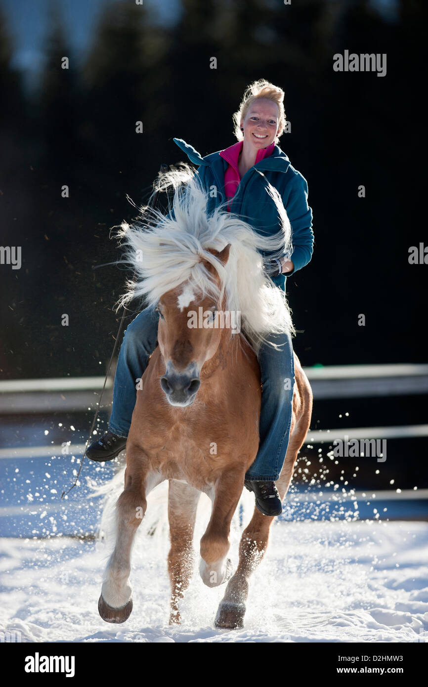 Horse without a rider hi-res stock photography and images - Alamy