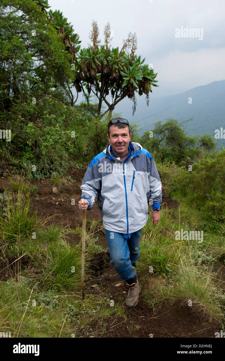 Tourist climbing Mount Bisoke, Volcanoes National Park, Rwanda Stock ...