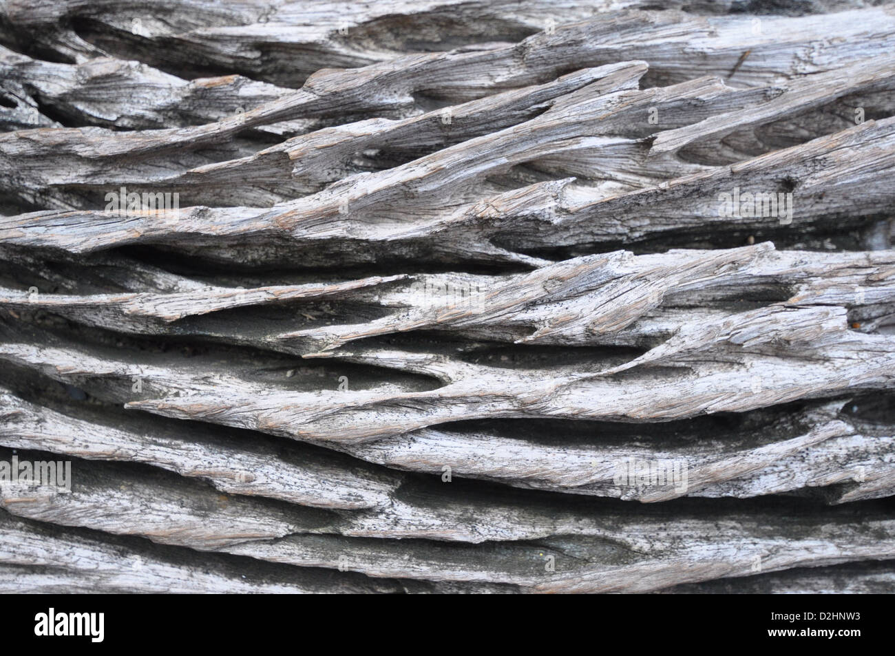 Old log surface abstract background Stock Photo - Alamy