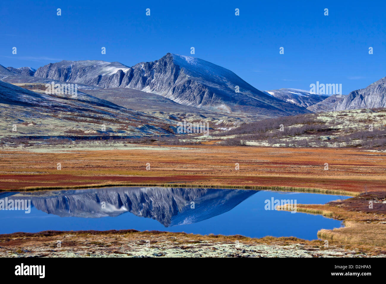 Mountain mirrored in a lake, Rondane National Park, Norway Stock Photo ...