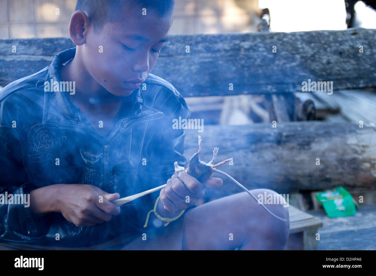 Back to the hunt, a boy prepares to roast a rat Stock Photo - Alamy
