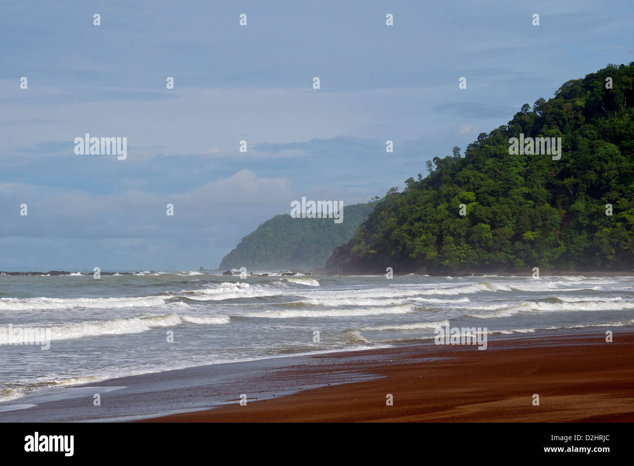 Rainforest and ocean hi-res stock photography and images - Alamy
