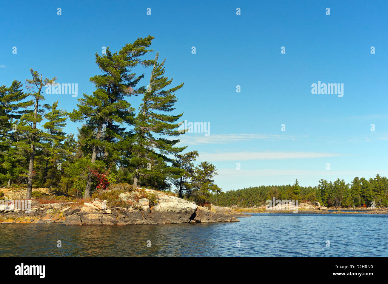Lake water pine trees hi-res stock photography and images - Alamy