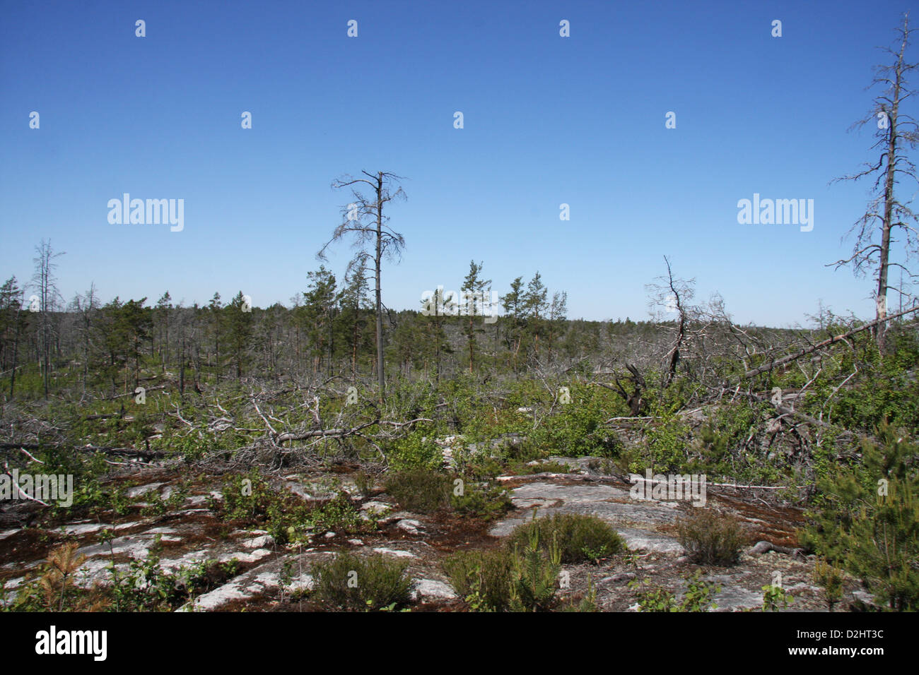 Tyresta national park hi-res stock photography and images - Alamy