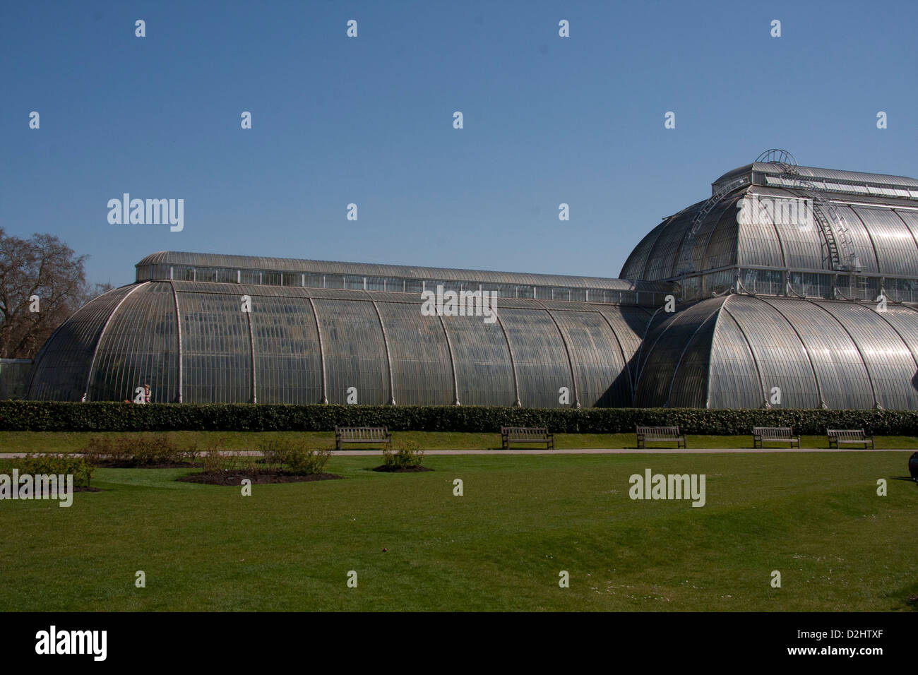 Palm house in Kew Gardens Stock Photo - Alamy