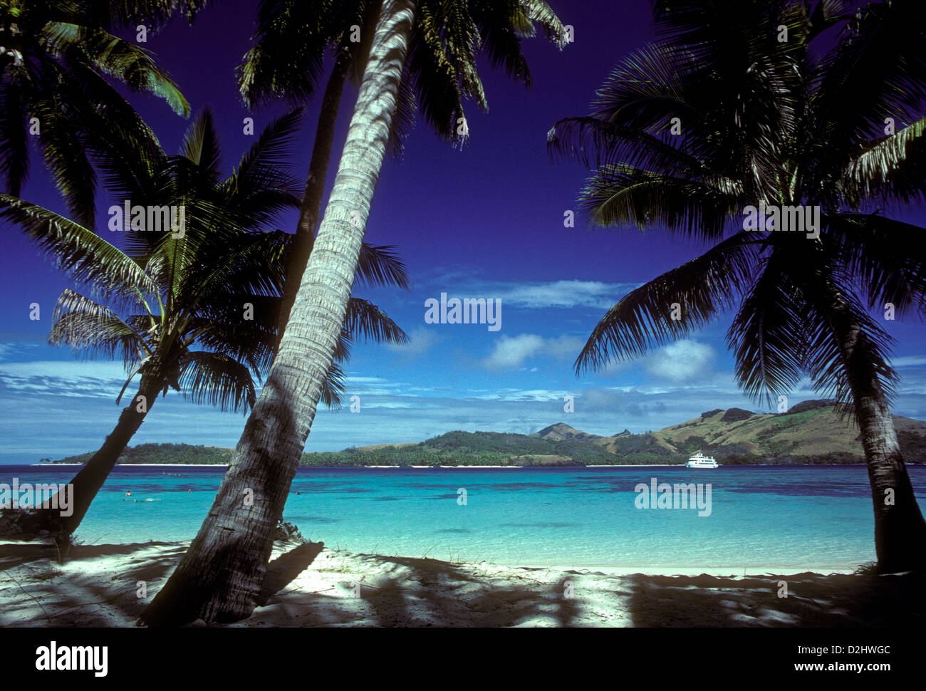 palm trees, Tawewa Island, Matacawalevu Island, background, Yasawa ...
