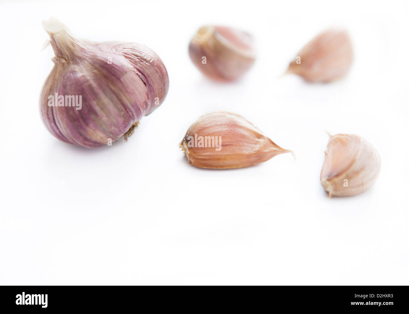 Fresh raw garlic head Cut Out Stock Images & Pictures - Alamy