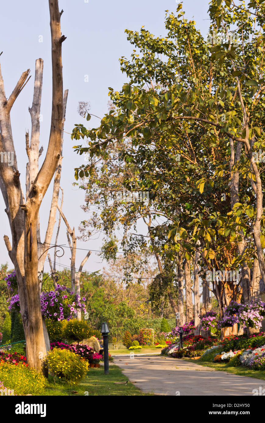 Beautiful Pathway in the Public Garden Stock Photo - Alamy