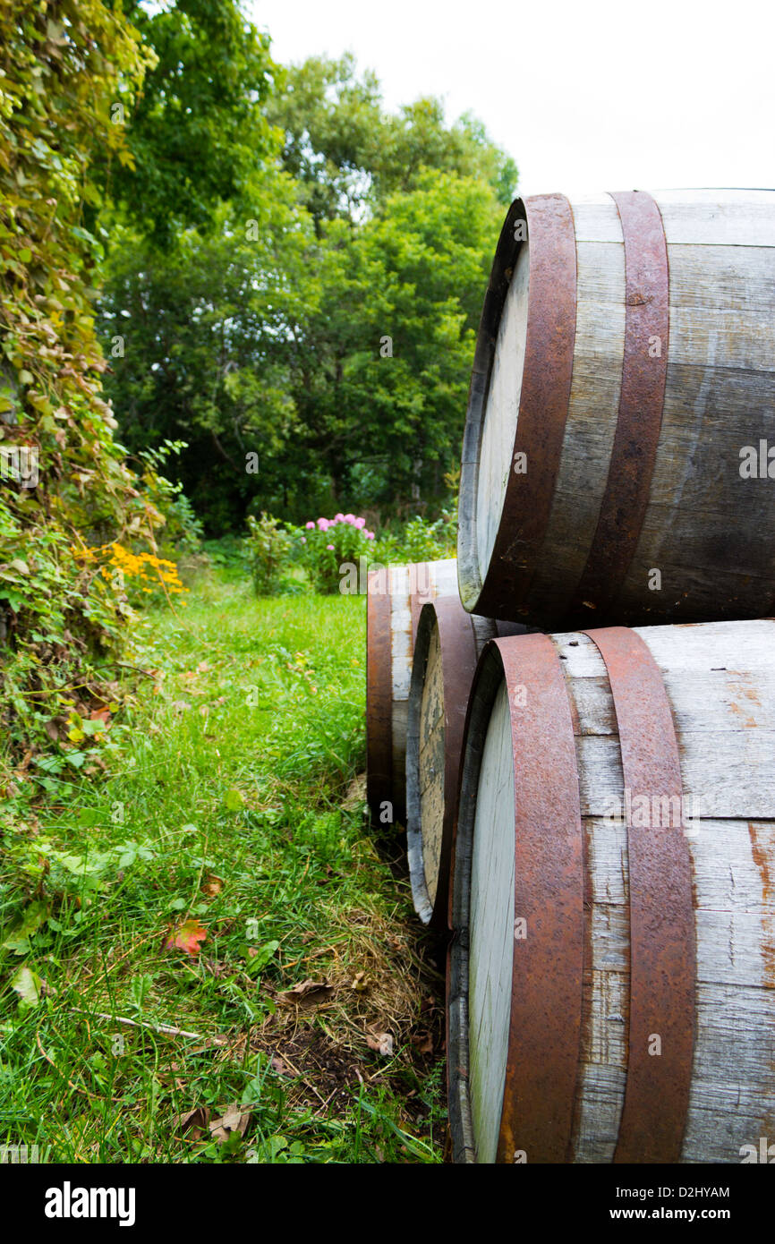 Old stacked beer barrels at the farm Stock Photo - Alamy