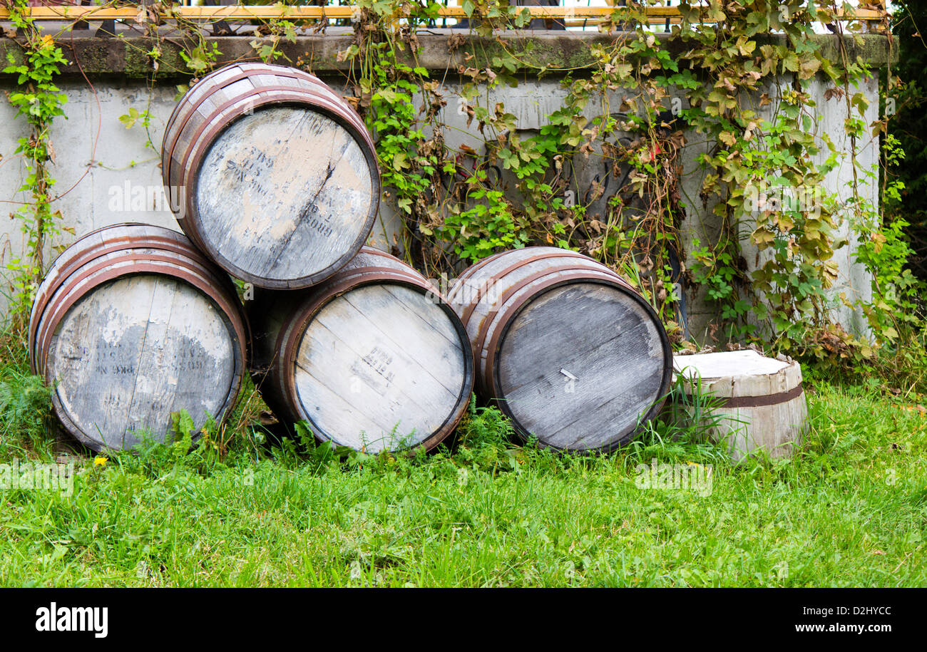 Old stacked beer barrels at the farm Stock Photo - Alamy