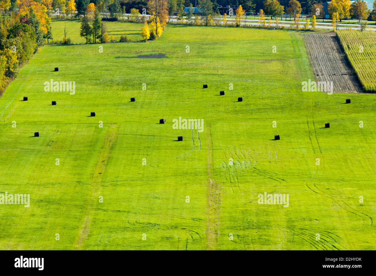 Farm field with bails of hay Stock Photo - Alamy