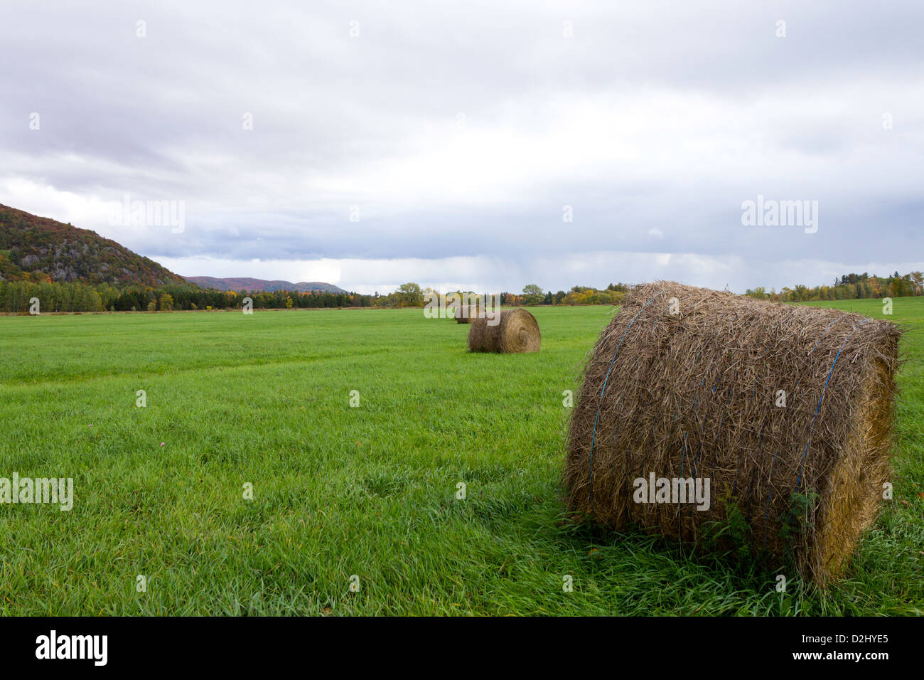 Farm field with bails of hay Stock Photo - Alamy