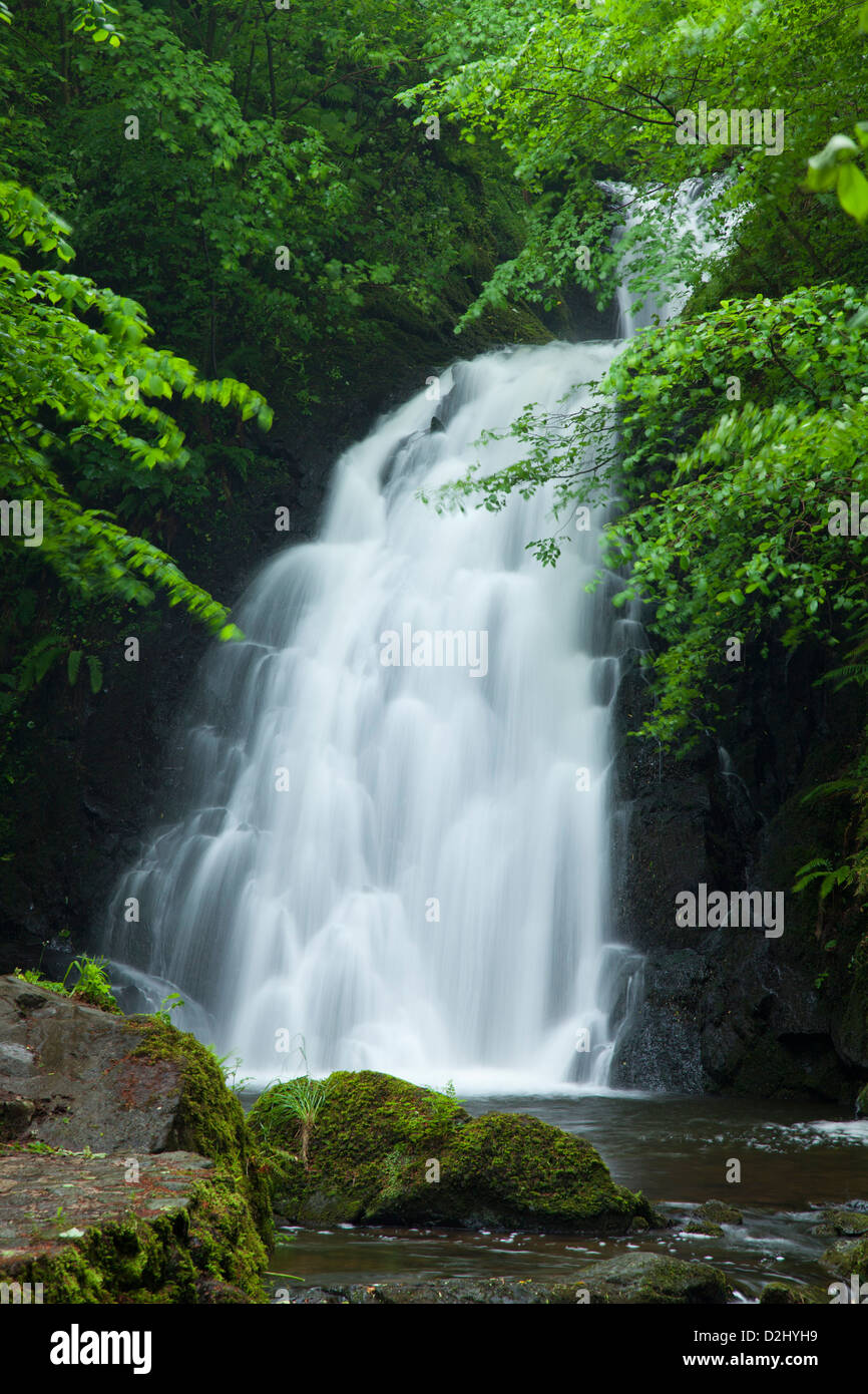 Glenoe Waterfall, County Antrim, Northern Ireland Stock Photo - Alamy