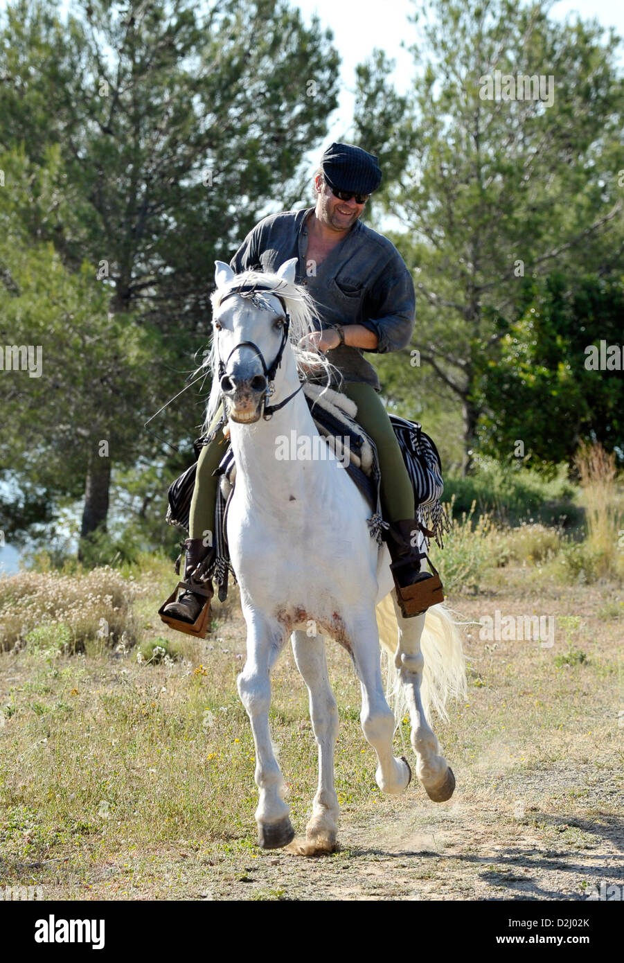 Man riding andalusian horse hi-res stock photography and images - Alamy