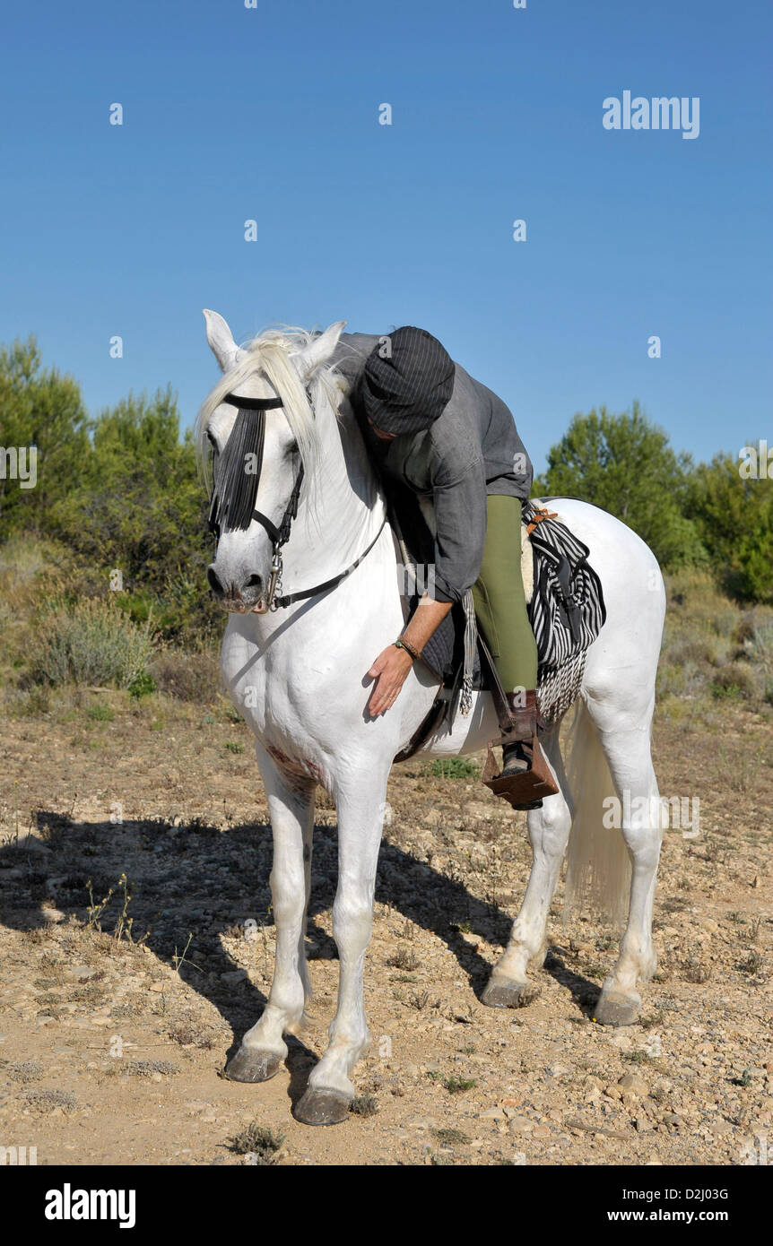 spanish man in his forties and his white Andalusian Gelding outside in ...