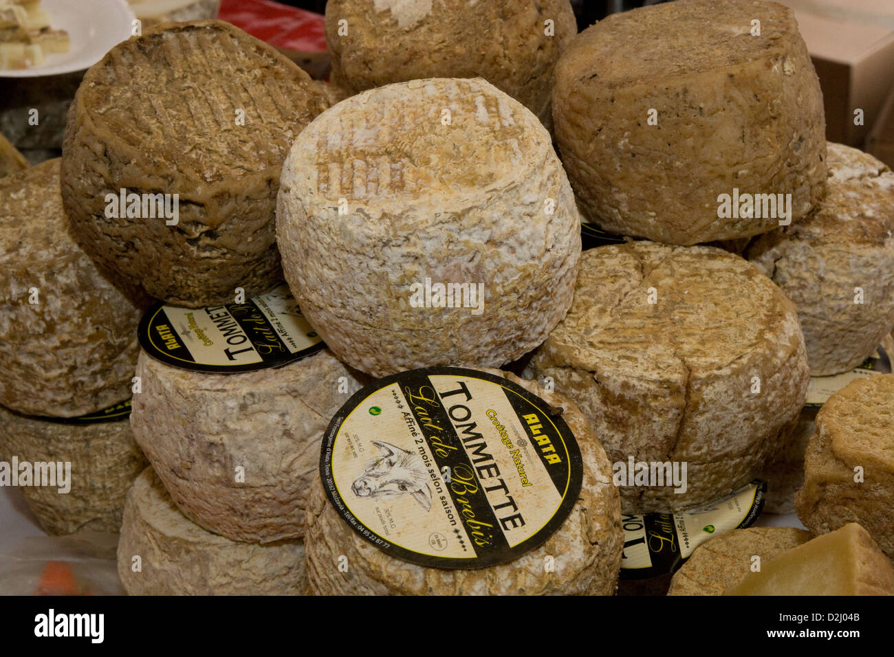 Corsica: traditional hard sheep's cheese Stock Photo - Alamy