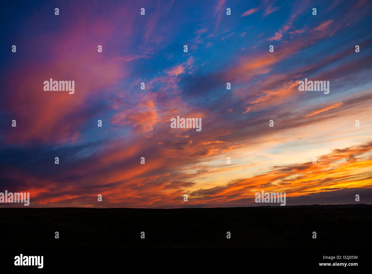 Red moor hi-res stock photography and images - Alamy