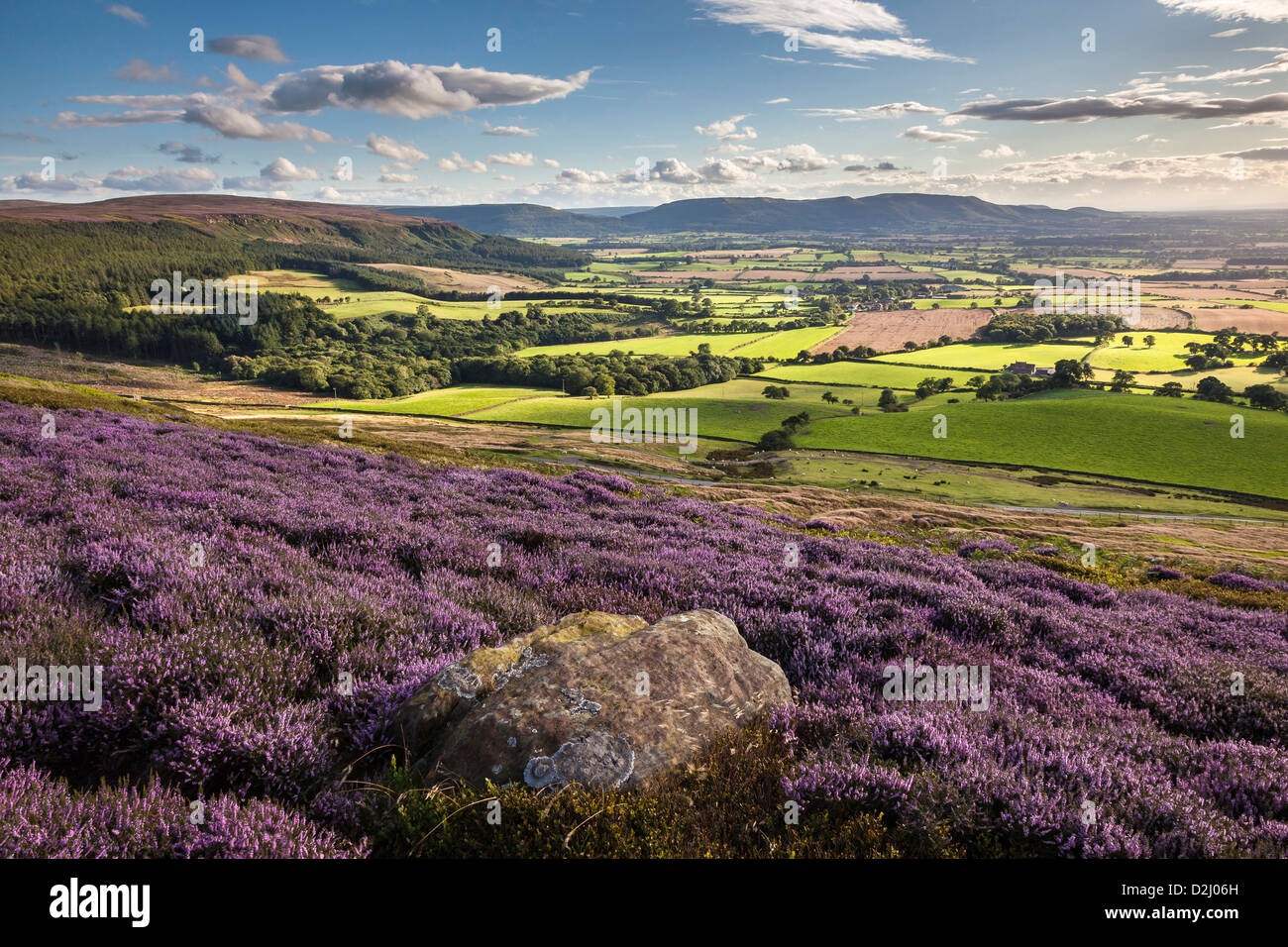 The Cleveland Hills from Warren Moor, North York Moors National Park ...